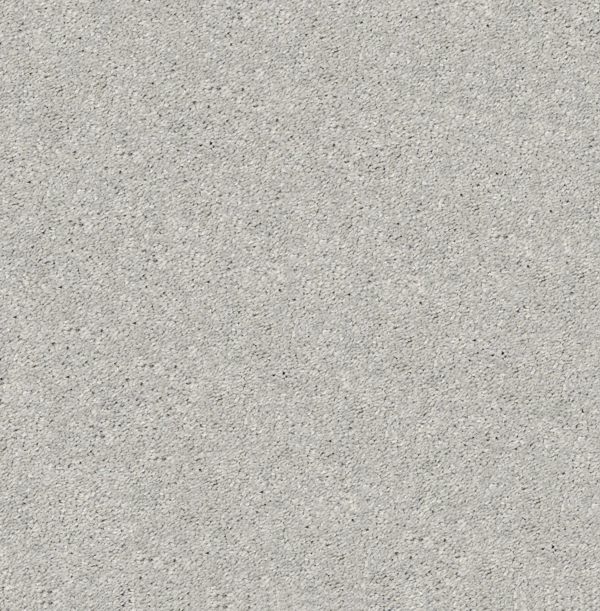 fletcher hall - shadow | carpets | HGP82-00522 | Shaw Builder Flooring