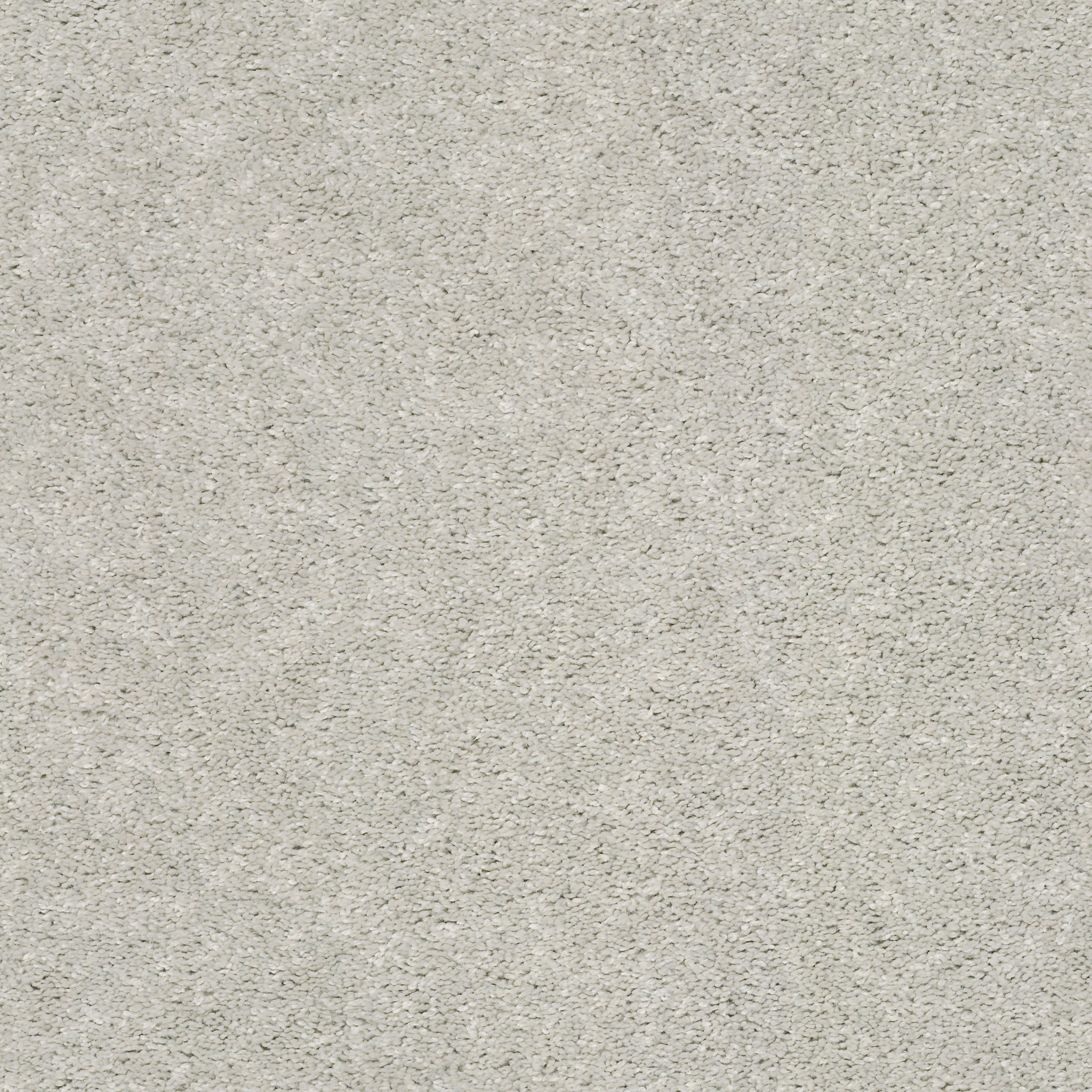 manor house - crushed shell | carpets | HGP83-00123 | Shaw Builder Flooring