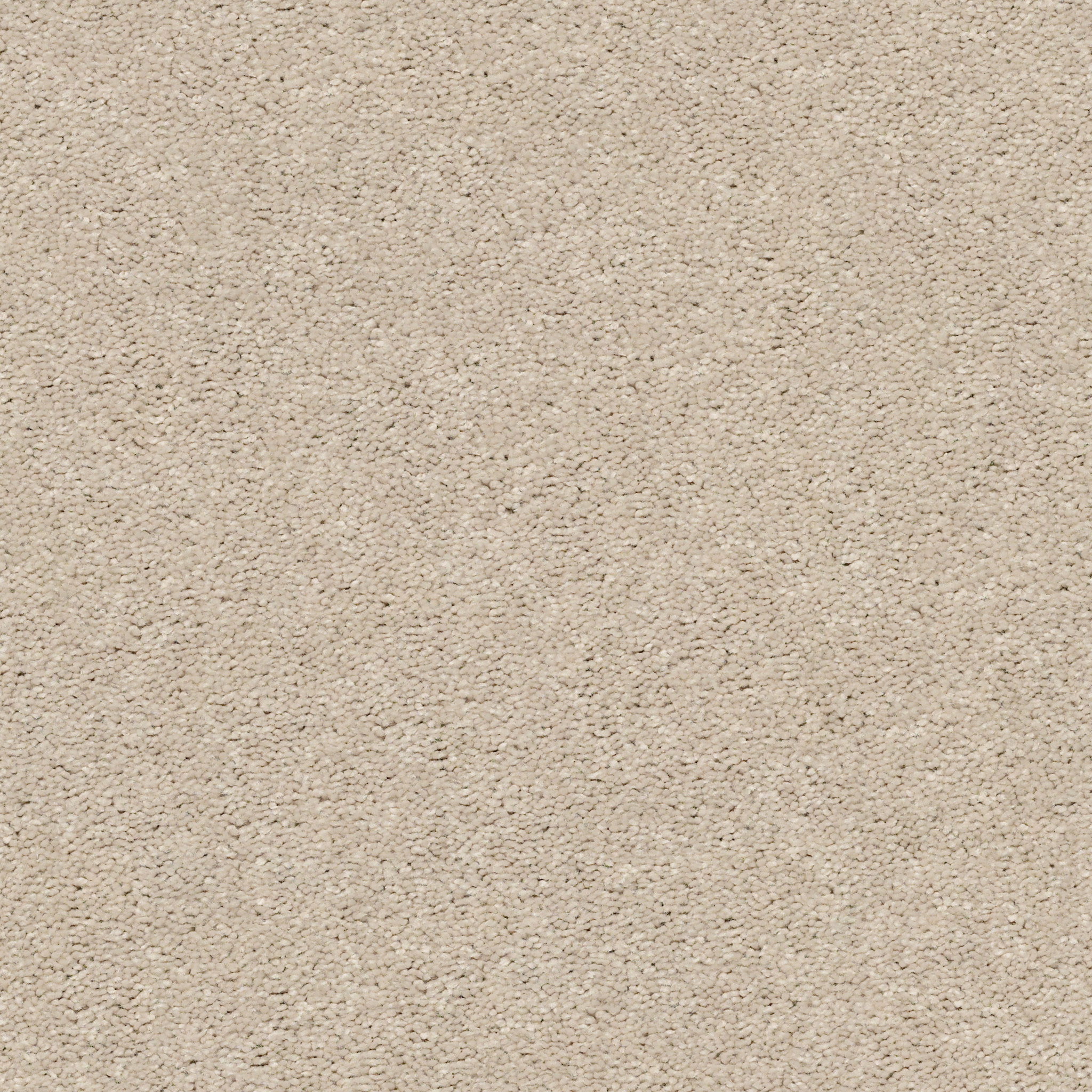 Harmony Ridge HGR02 00122 | Shaw Builder Flooring