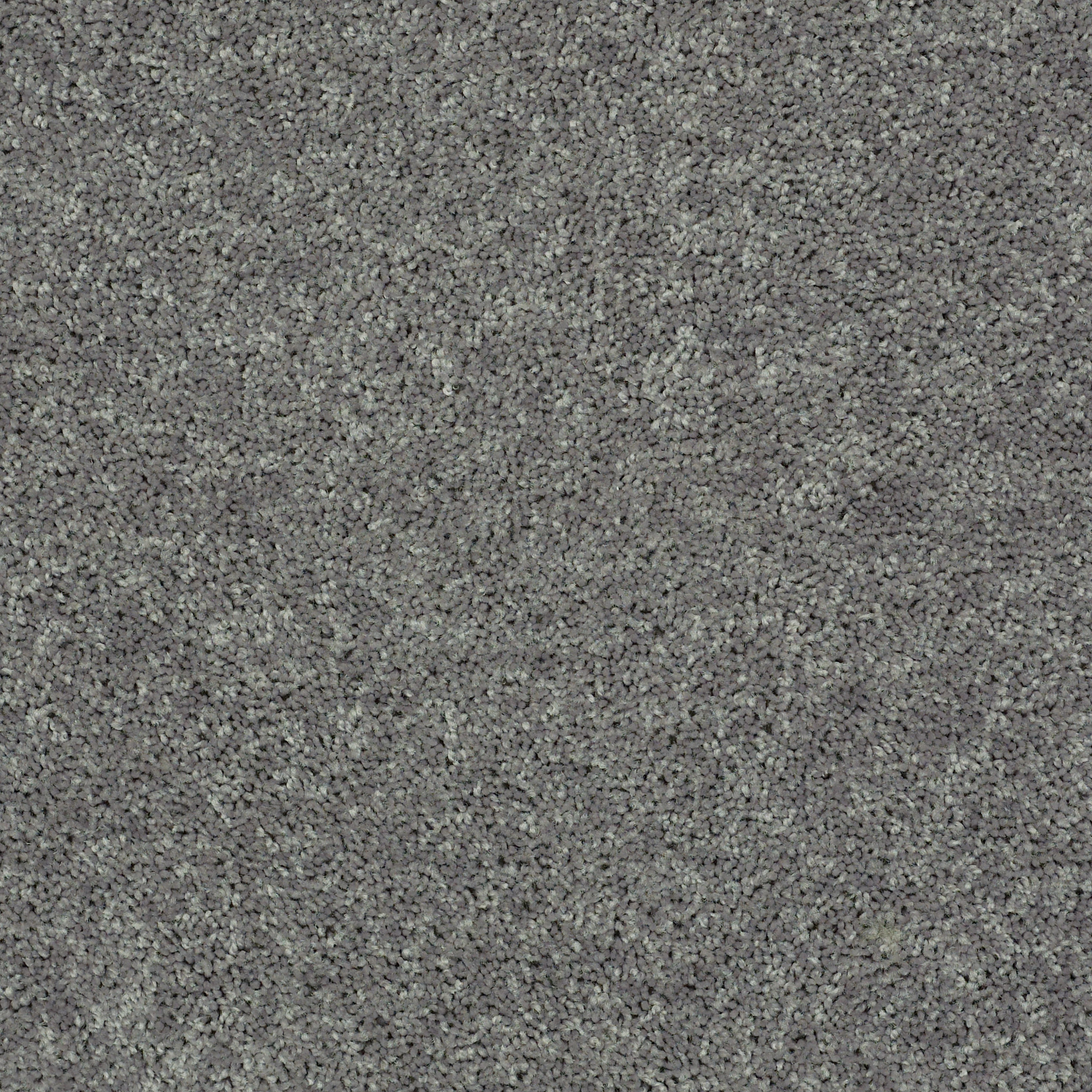 harmony_ridge - steel | carpets | hgr02-00501 | Shaw Builder Flooring