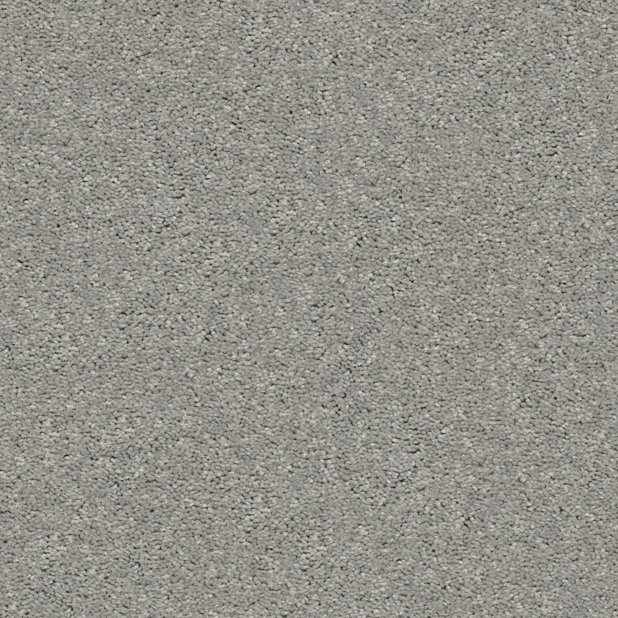 harmony_ridge - dolphin | carpets | hgr02-00521 | Shaw Builder Flooring