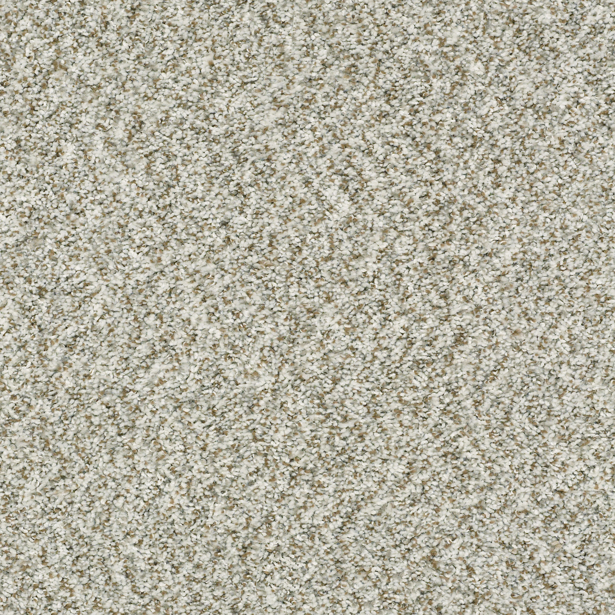 Fiesta Island HGR04 00150 | Shaw Builder Flooring