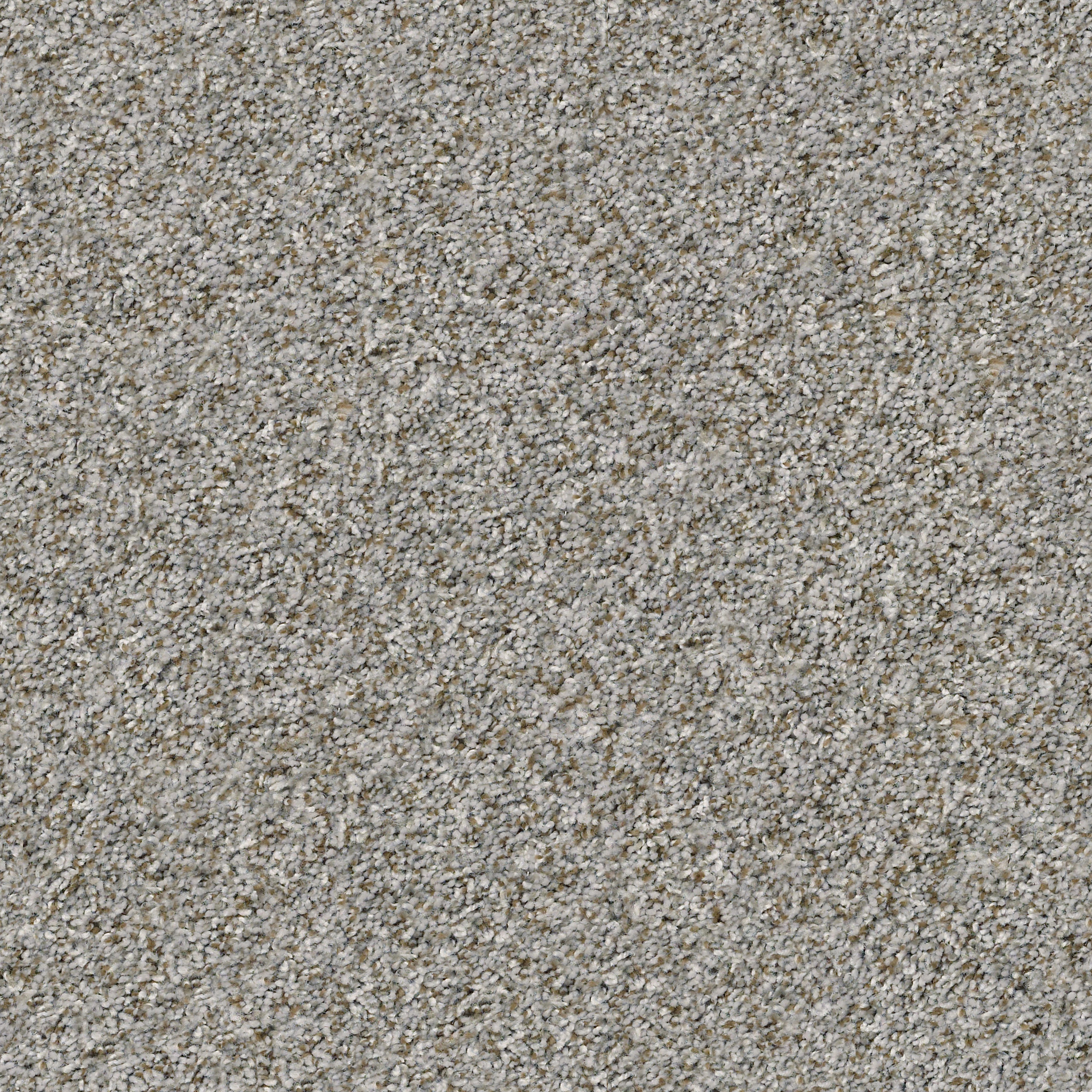 Fiesta Island HGR04 00555 | Shaw Builder Flooring