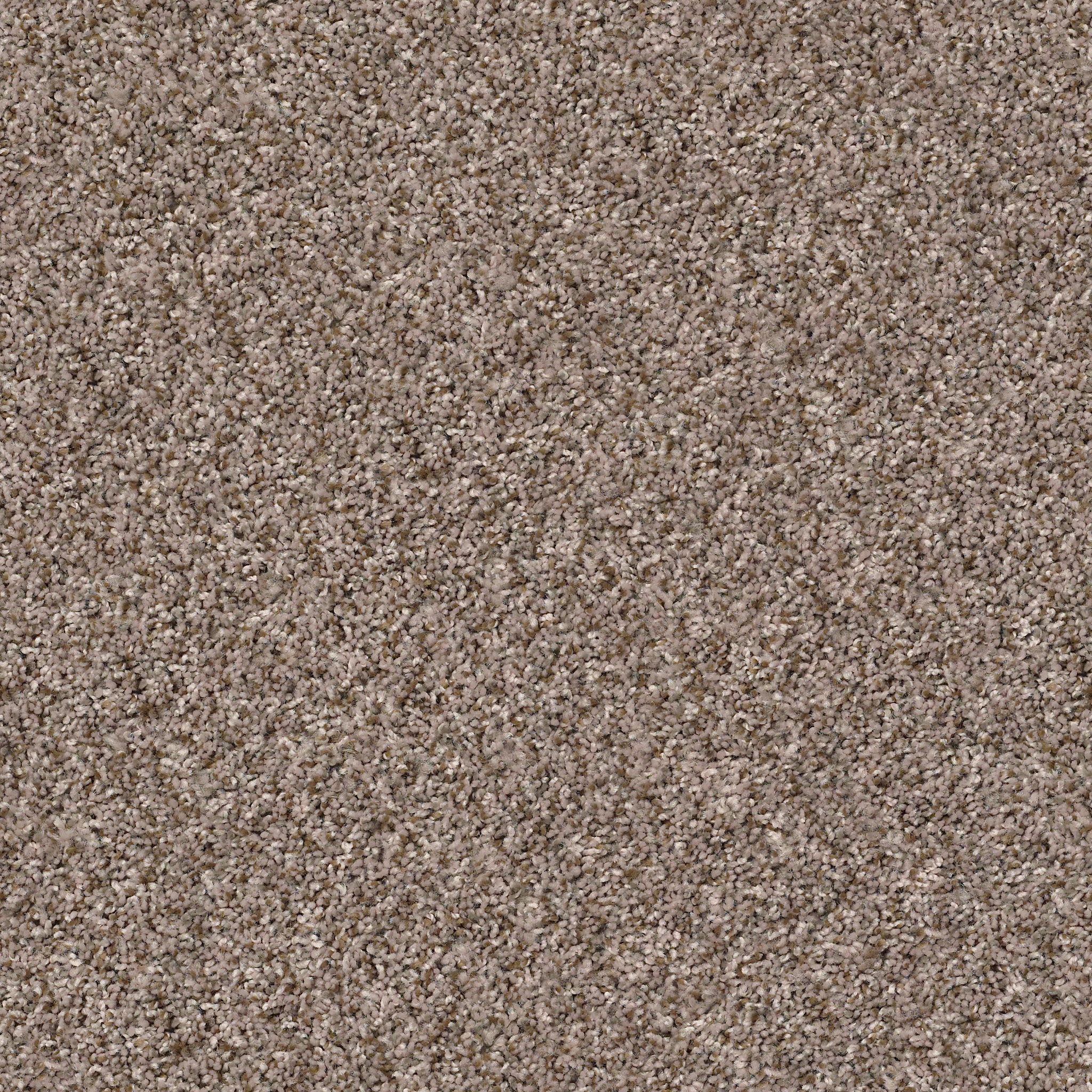 fiesta_island - brown_reed | carpets | hgr04-00751 | Shaw Builder Flooring