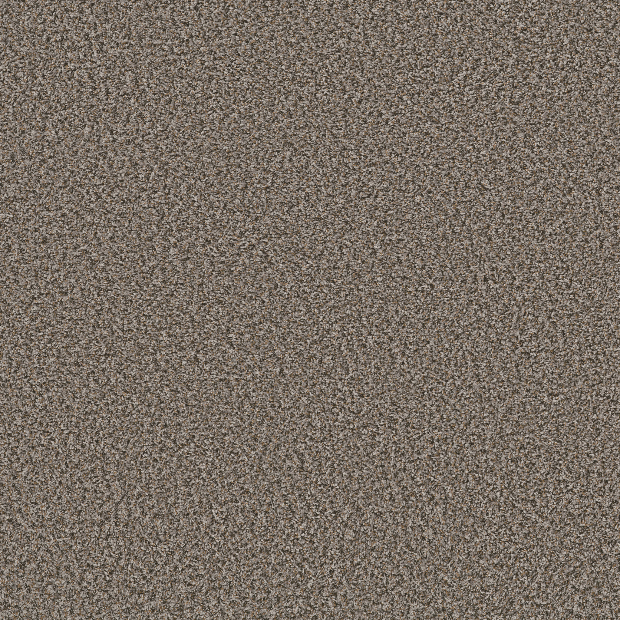 Vintage Style HGR22 00501 | Shaw Builder Flooring