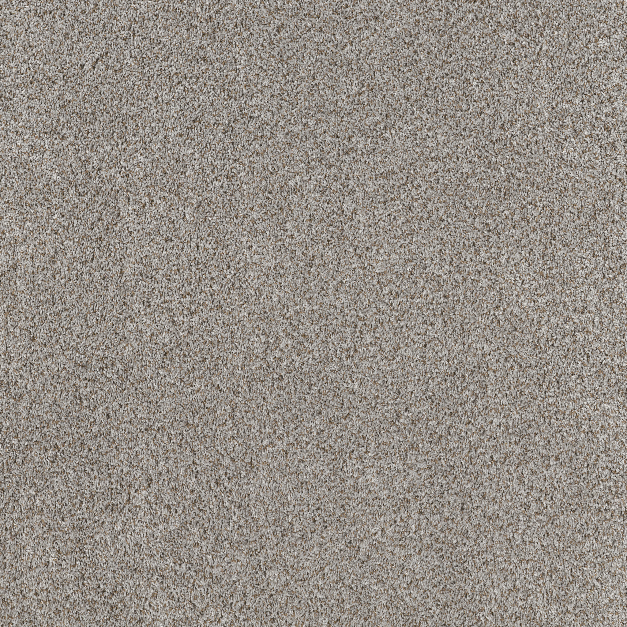 Highland Charm HGR24 00521 | Shaw Builder Flooring