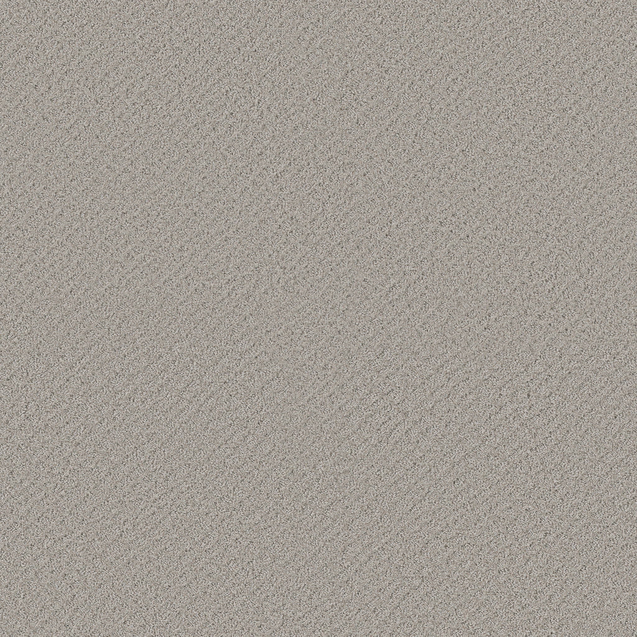 stylish vogue - silver lining | carpets | HGR52-00500 | Shaw Builder ...