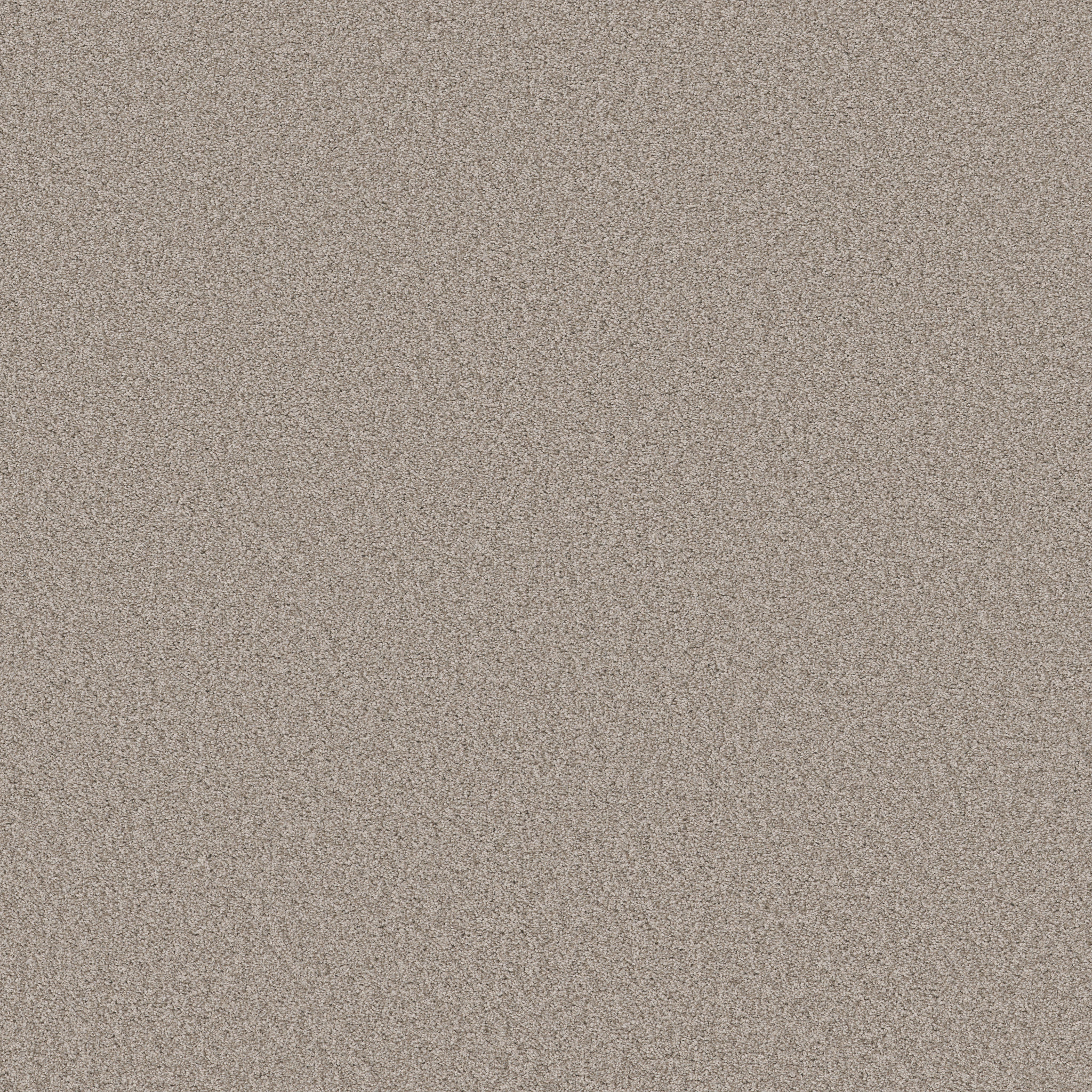 fraser_coast_i - fossil_path | carpets | hgr65-00108 | Shaw Builder ...