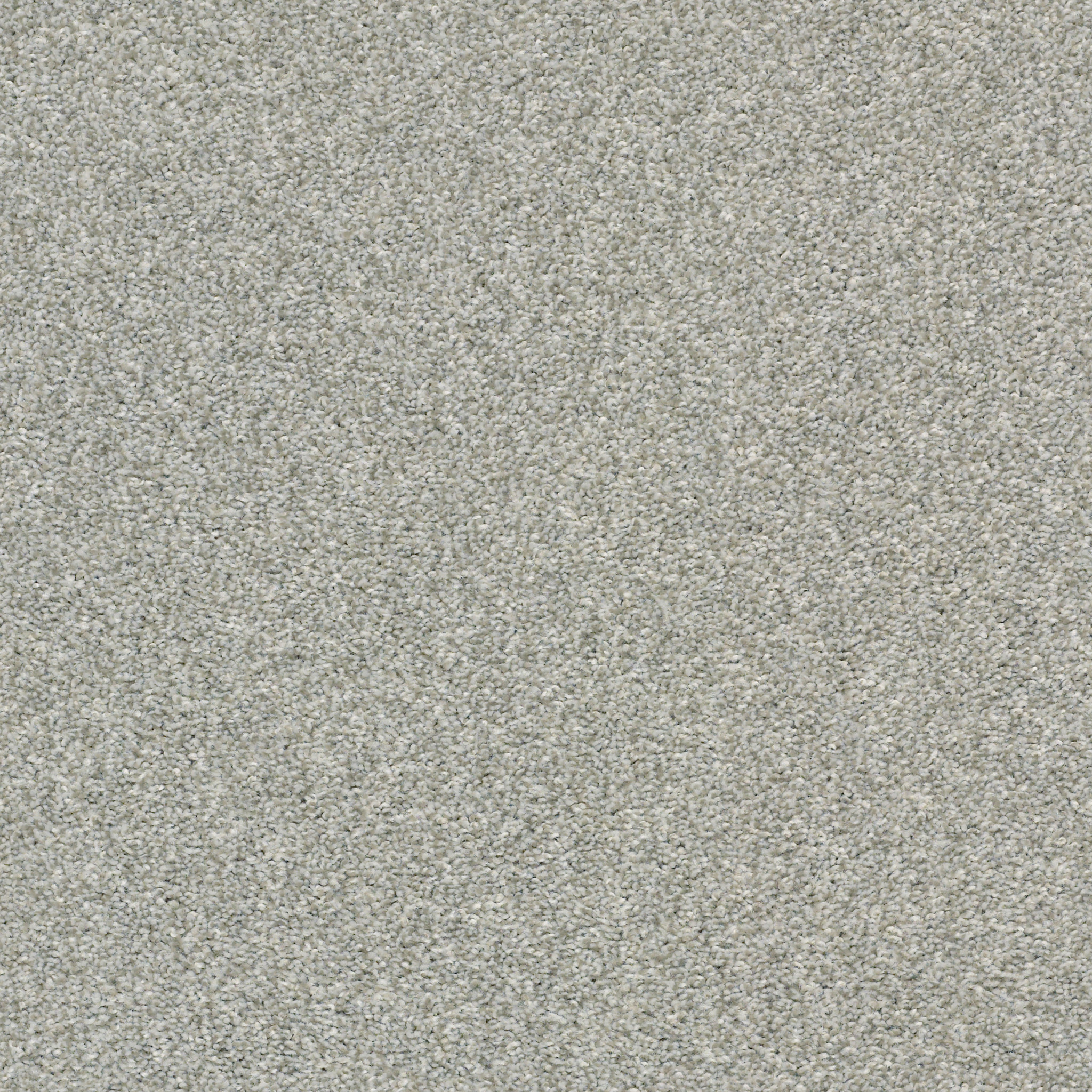 fresh_spirit - steel | carpets | hgr72-00570 | Shaw Builder Flooring