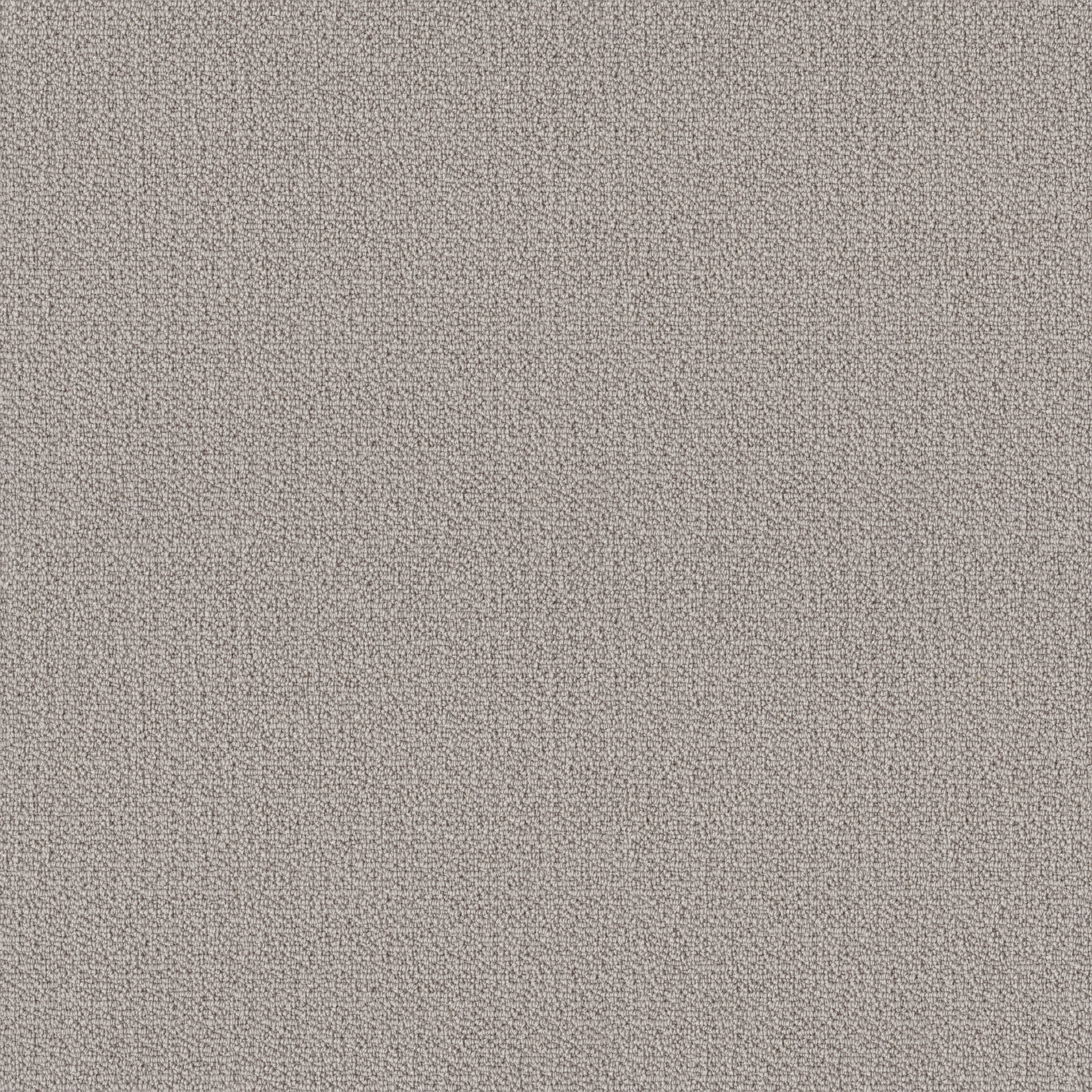 acclaimed - warm_greige | carpets | hgr75-00104 | Shaw Builder Flooring