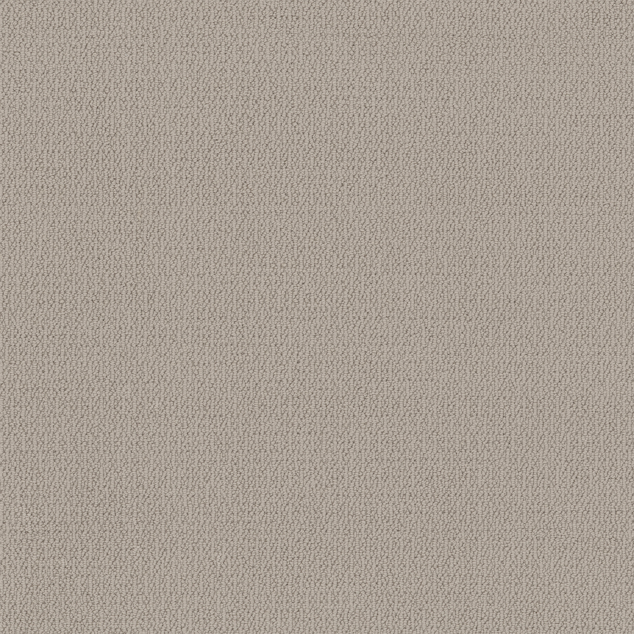 acclaimed - sandstone | carpets | hgr75-00108 | Shaw Builder Flooring