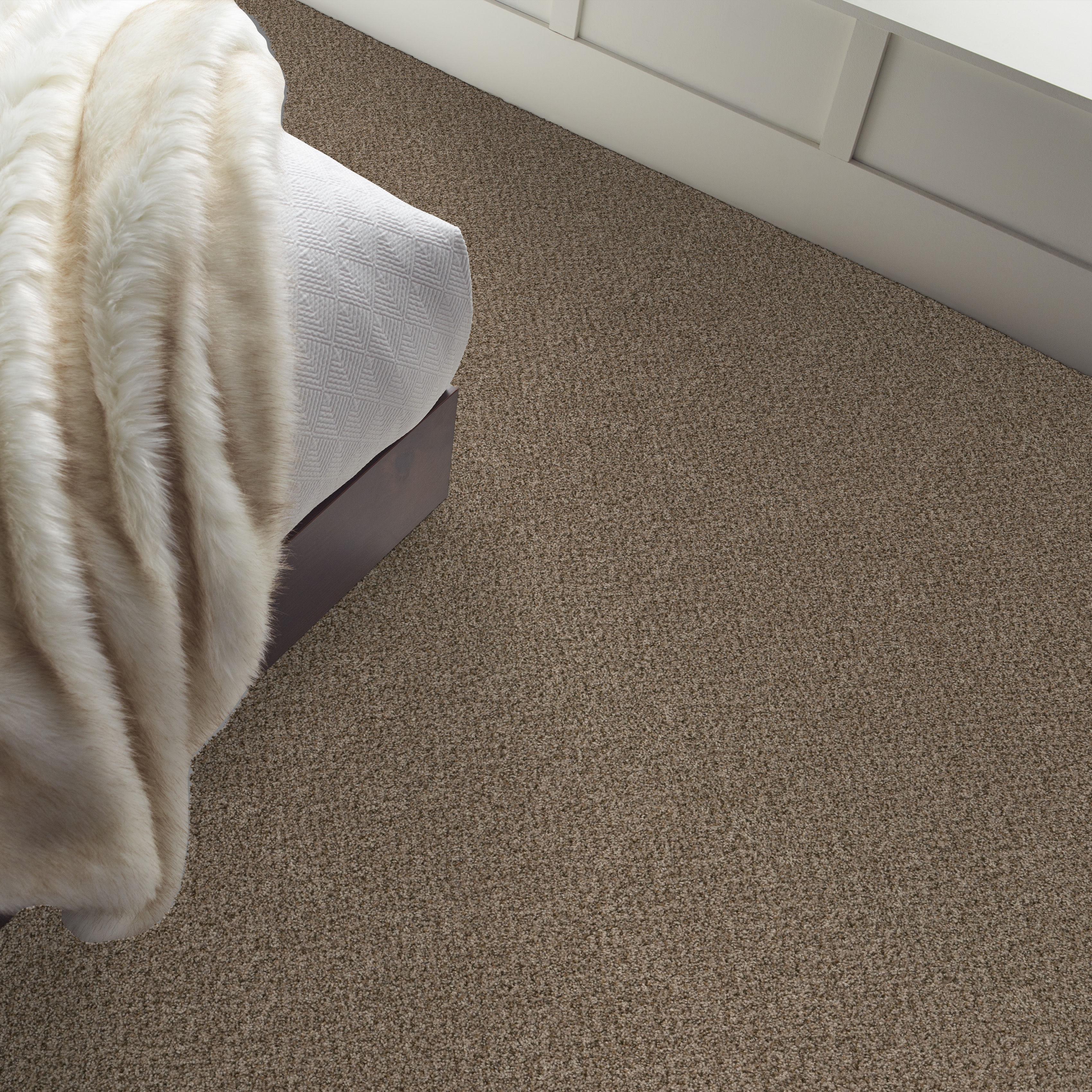 Shaw Builder Flooring Carpet | Floor Roma