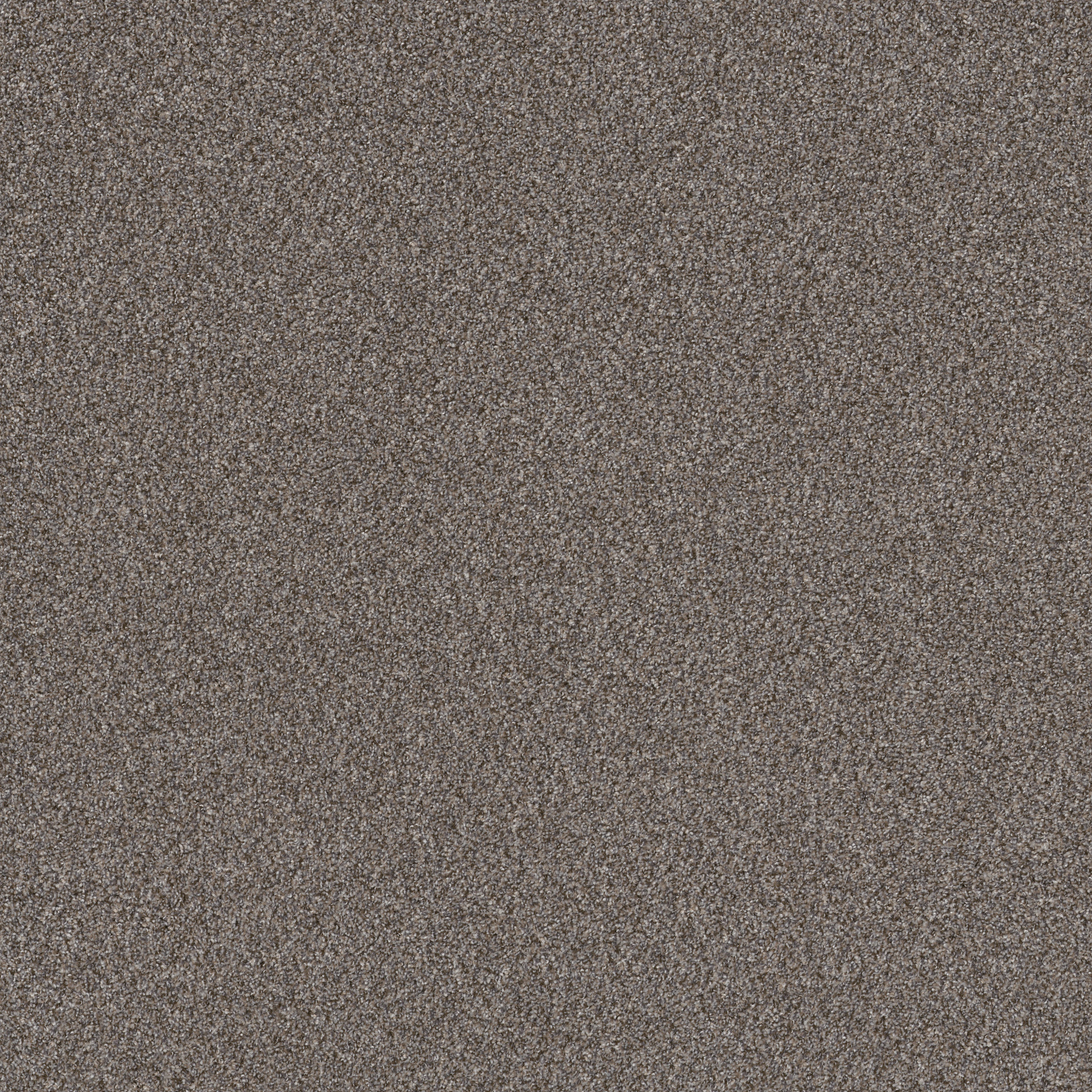 Heart Warming - baltic stone | carpets | HGR87-00111 | Shaw Builder ...