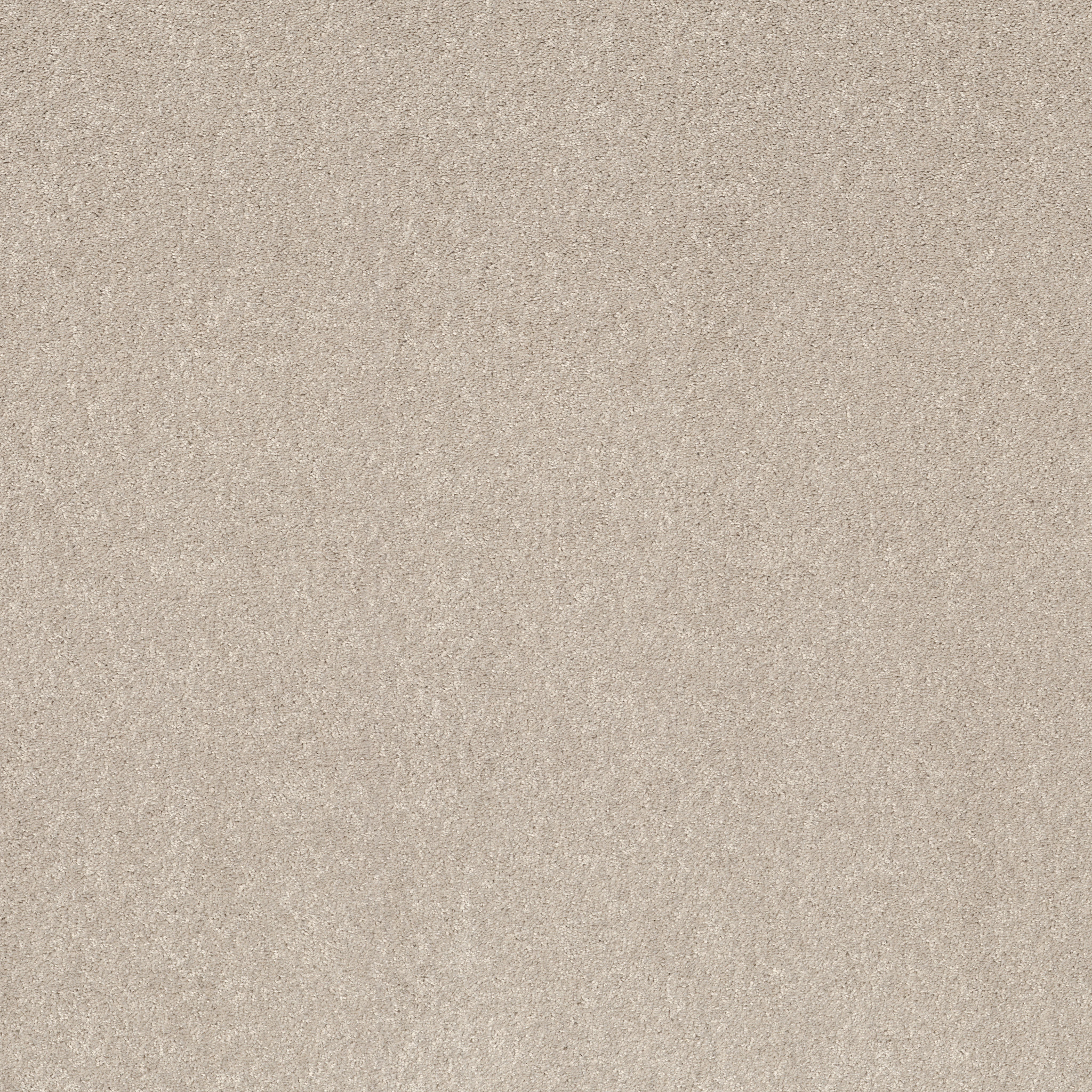 Contemporary Vision - angel cloud | carpets | HGR89-00102 | Shaw ...