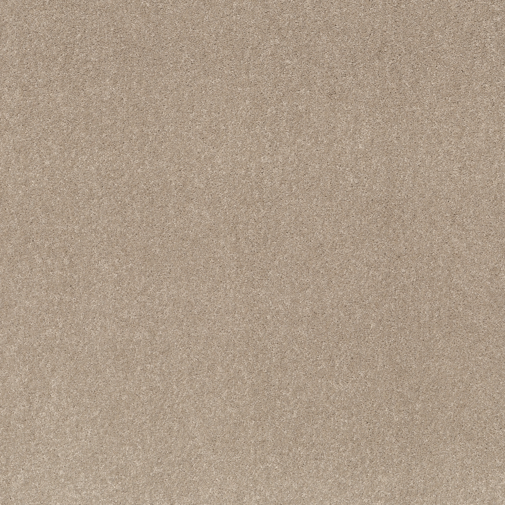 enchanted vision - tassel | carpets | HGR90-00107 | Shaw Builder Flooring