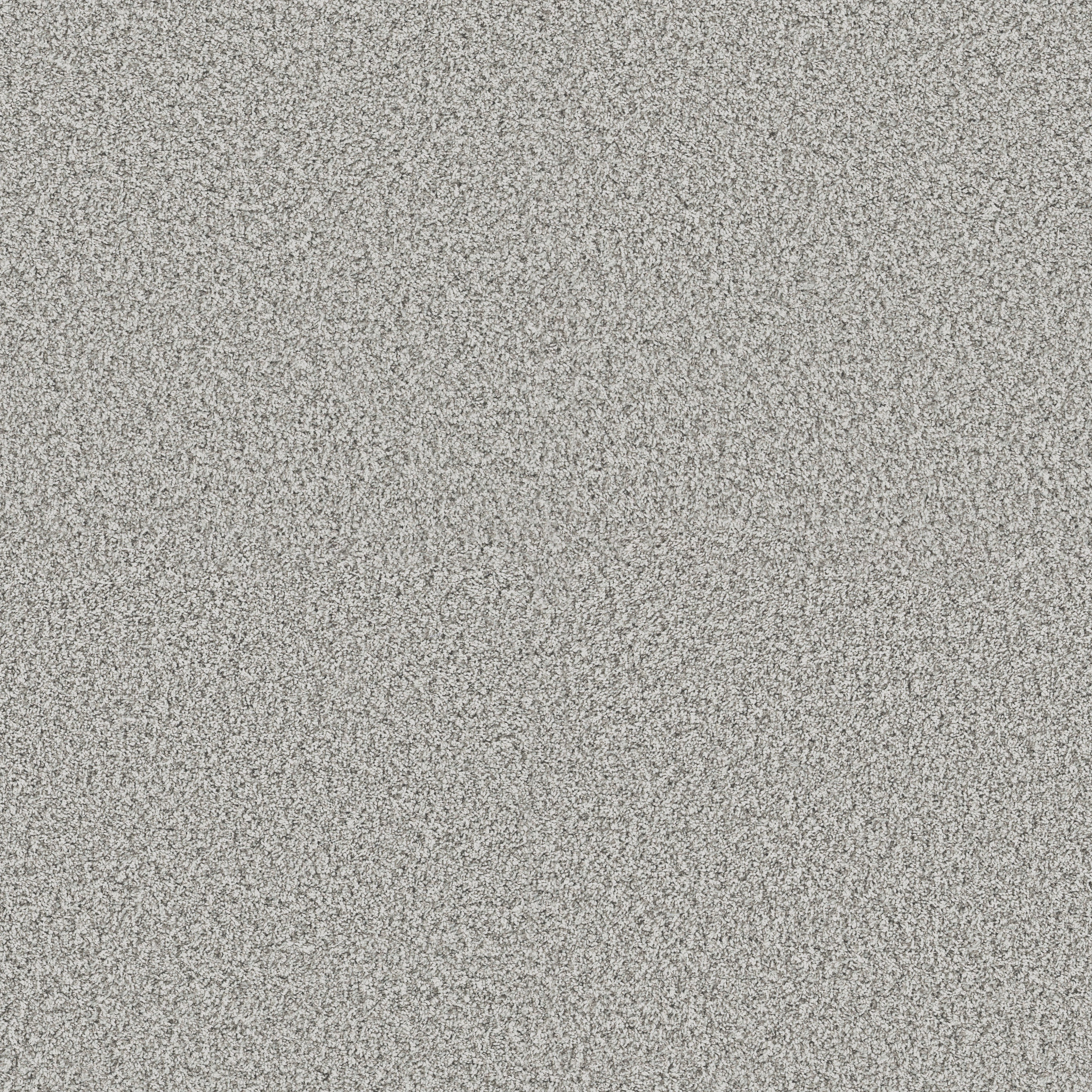 Gable Point I 12 - frozen | carpets | HGR93-00107 | Shaw Builder Flooring