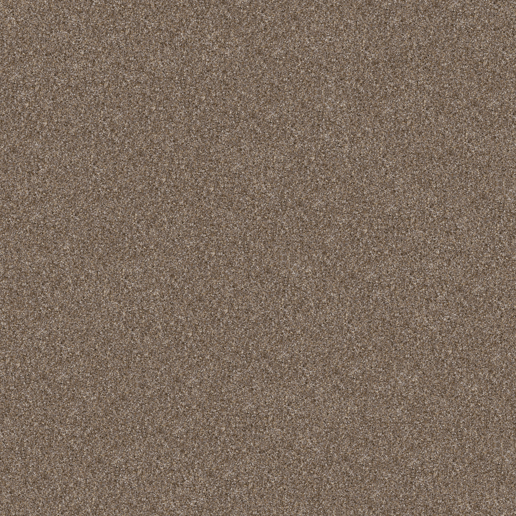 gable point i 12 - honeycomb | carpets | HGR93-00207 | Shaw Builder ...