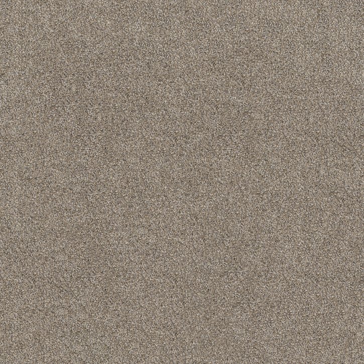 commanding tweed - fox fur | carpets | ps806-00102 | Shaw commanding tweed - fox fur | carpets | ps806-00102 | Shaw