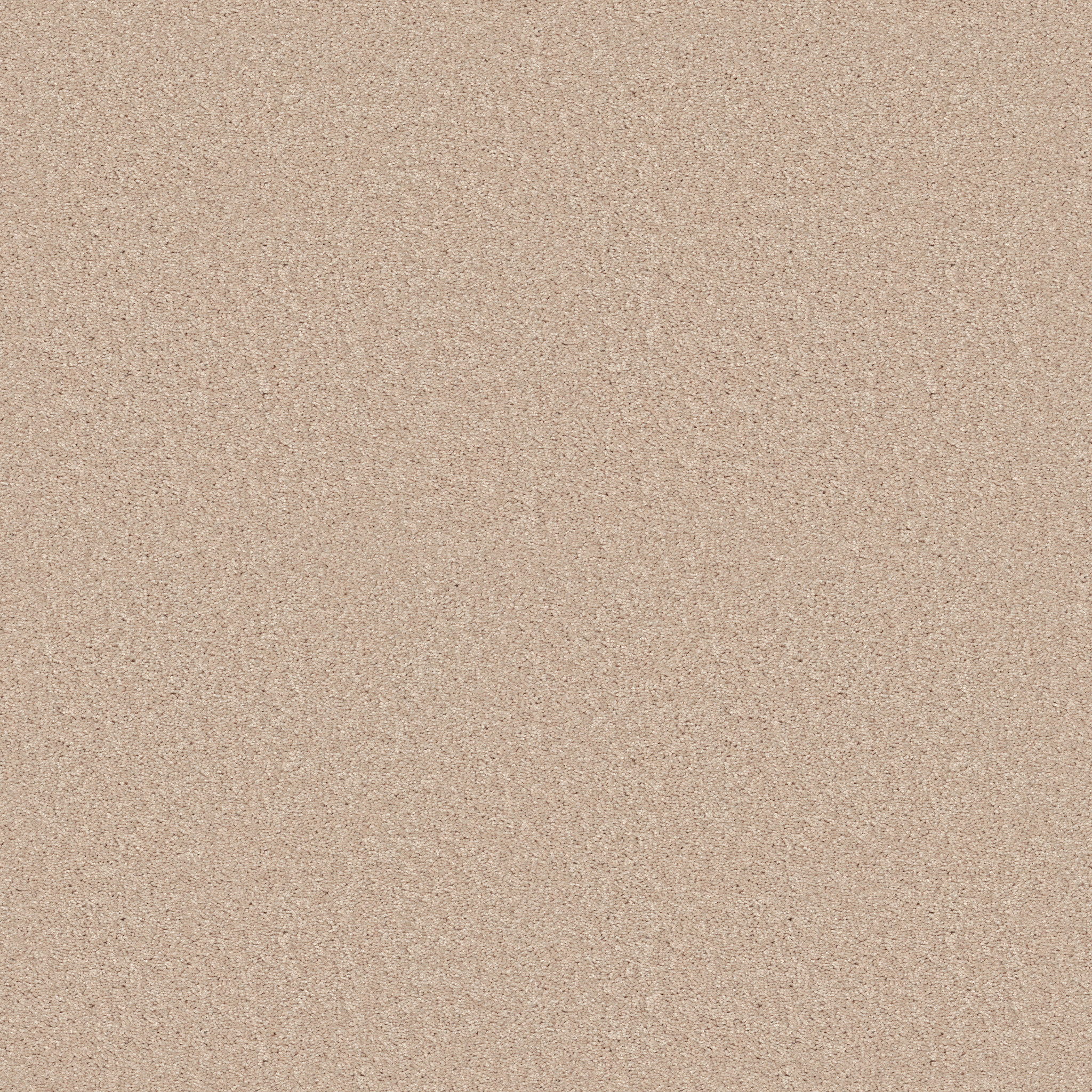 Knockout Ii 15' - Gentle Breeze Carpet | Shaw Floors