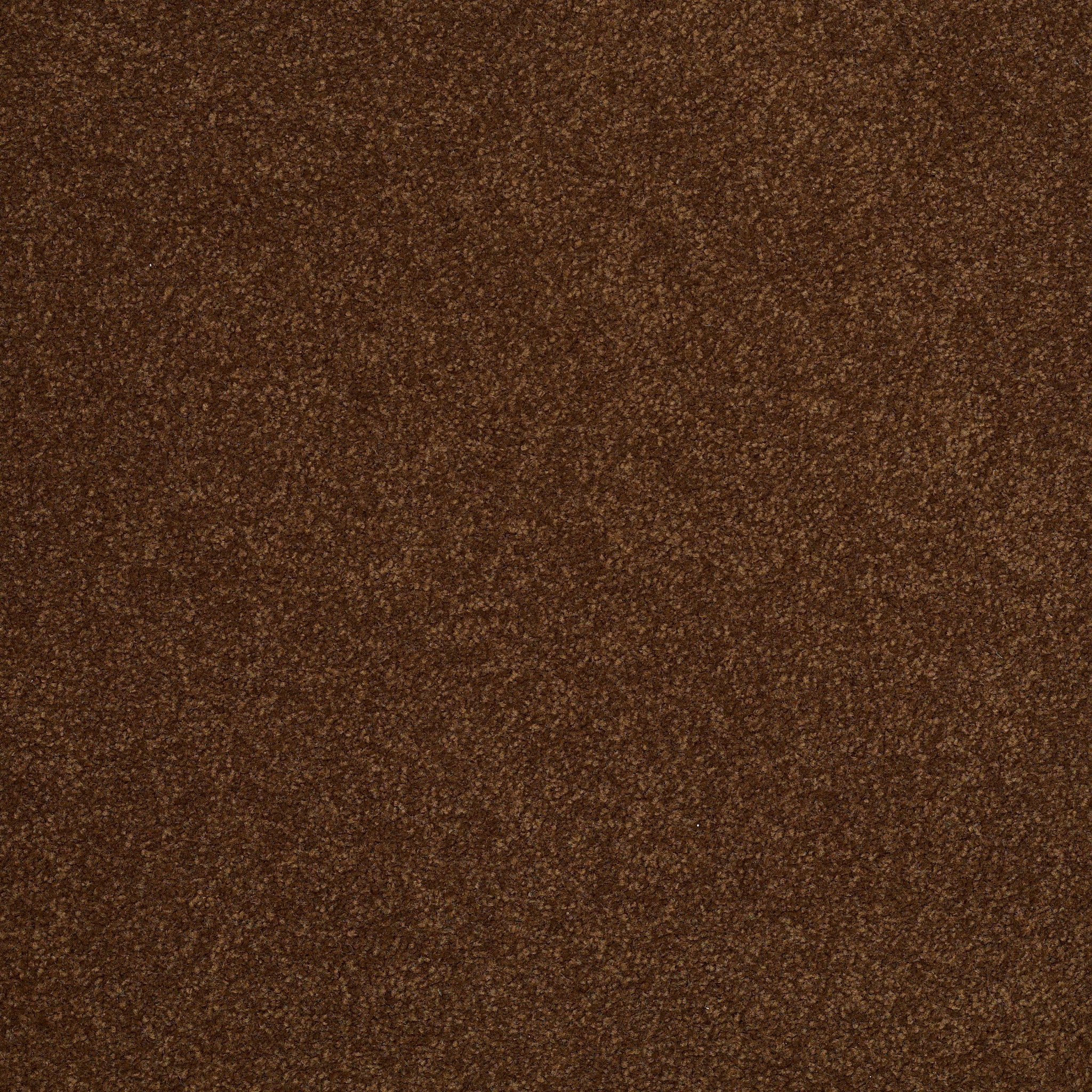 Sophistication 12' - Tortoise Shell Carpet | Shaw Floors