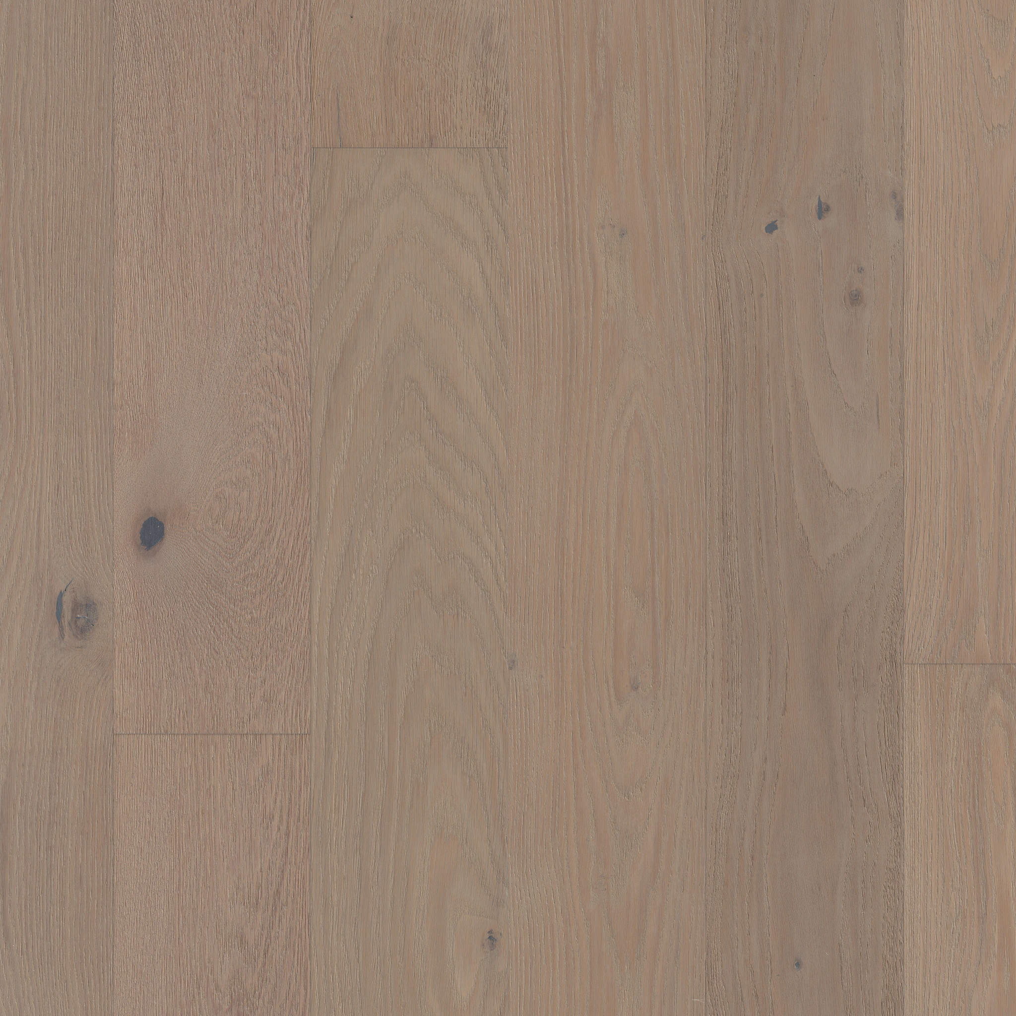 Ensemble - in color Atelier | Shaw Floors