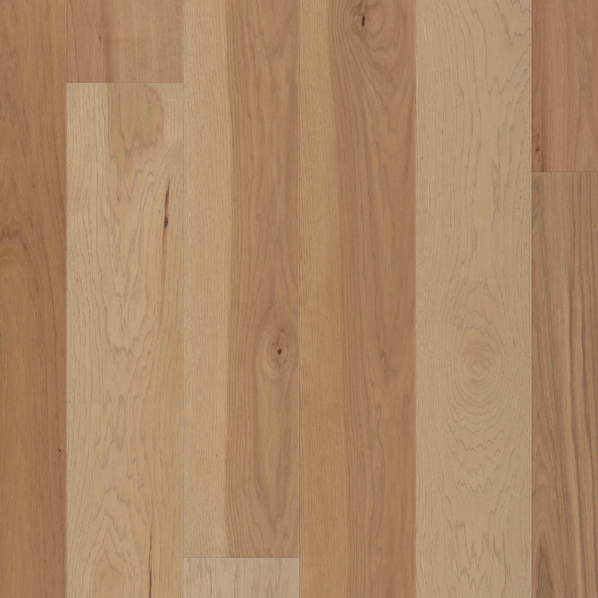 Americana Hickory - in color Spirit | Shaw Floors