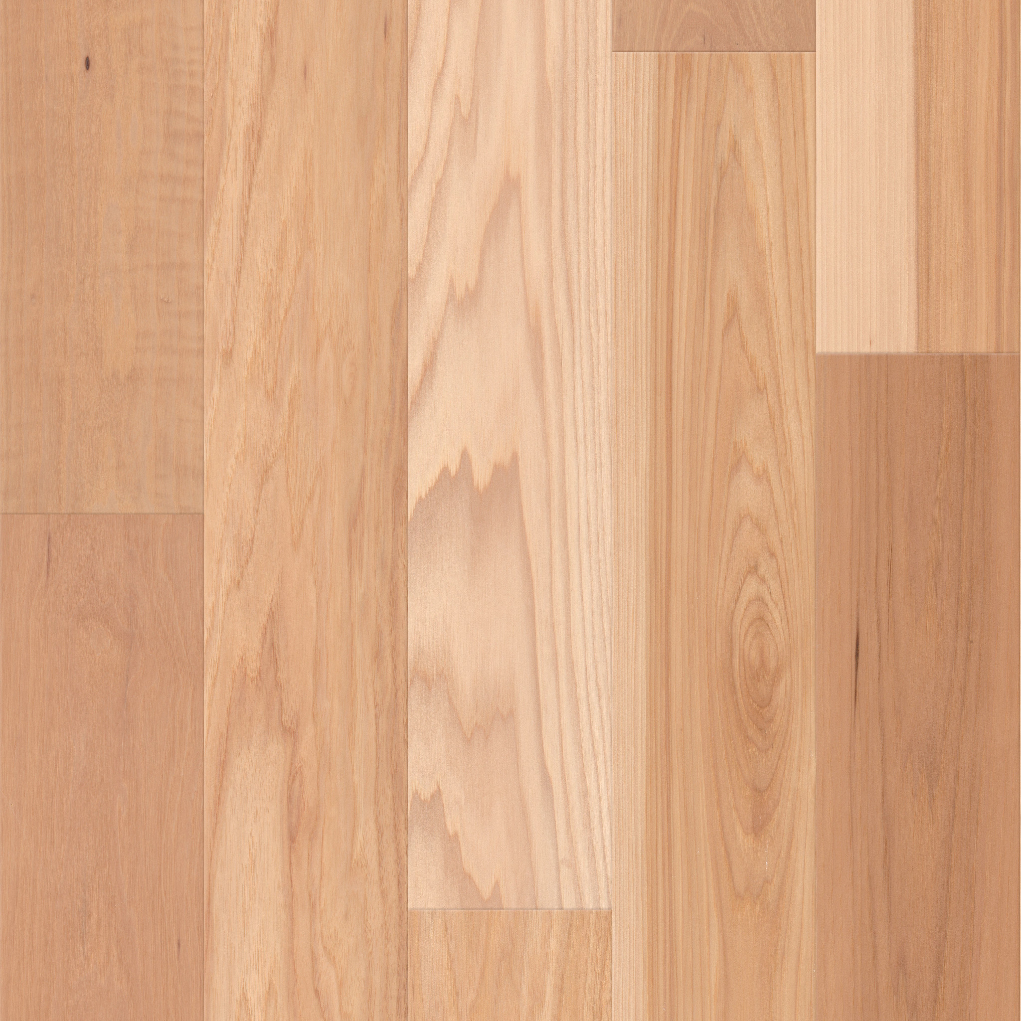 Natural Classics Hard Maple 5" - in color Natural Hard Maple | Shaw Floors