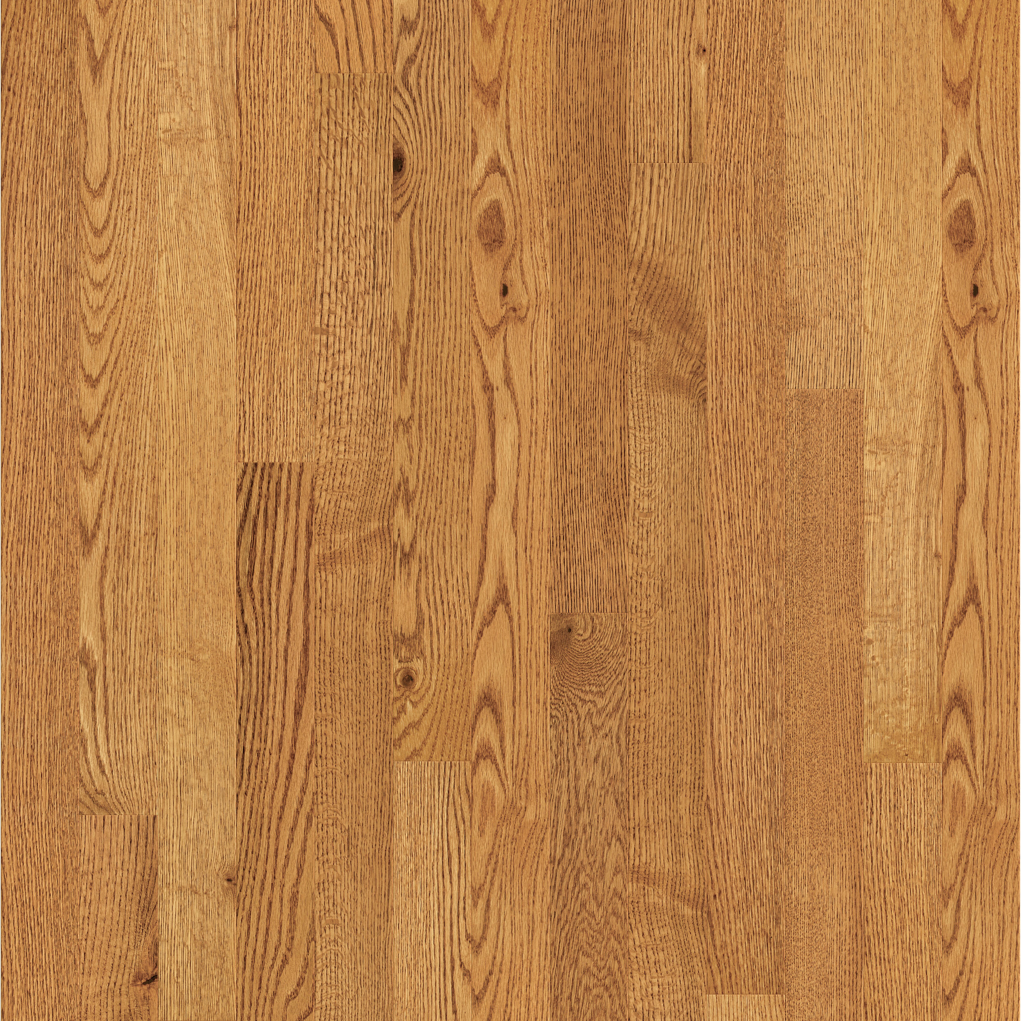 Lineage Oak 3" - in color Honey | Shaw Floors