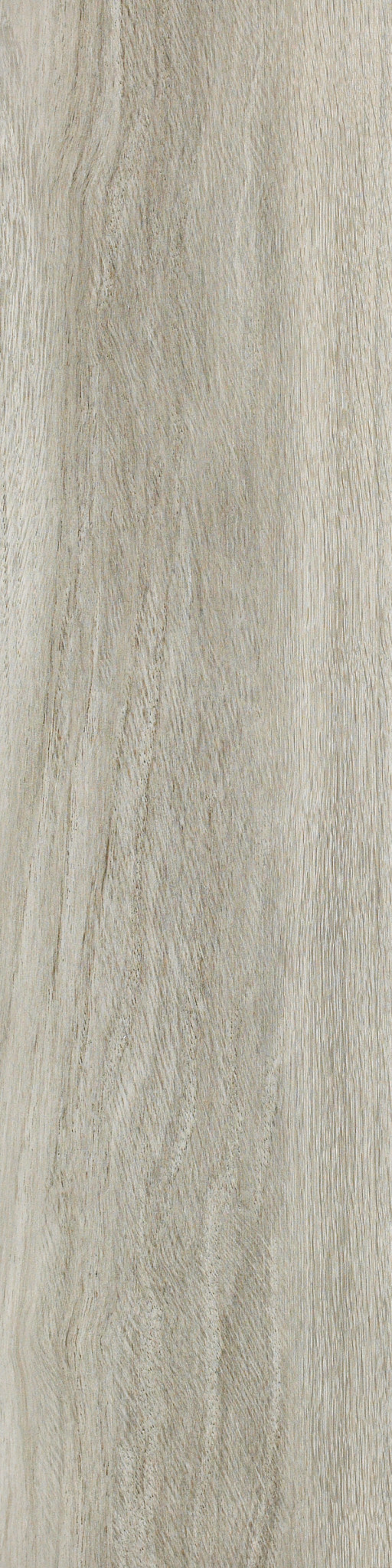 Harlow 8X32 TGN79 00500 | Shaw Builder Flooring