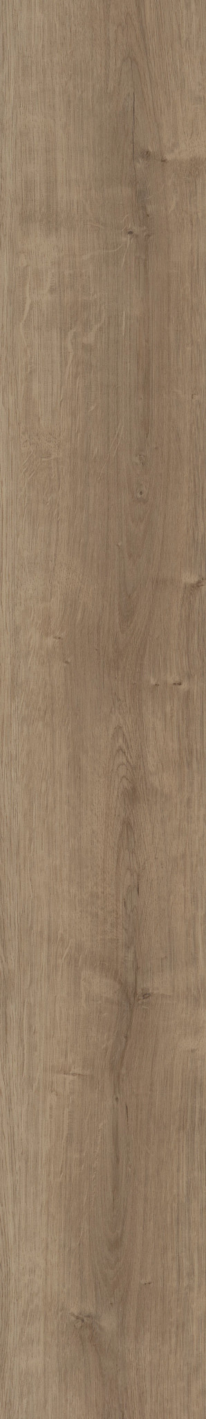 Copano Oak VV017-01003 LVP Flooring | COREtec Pro