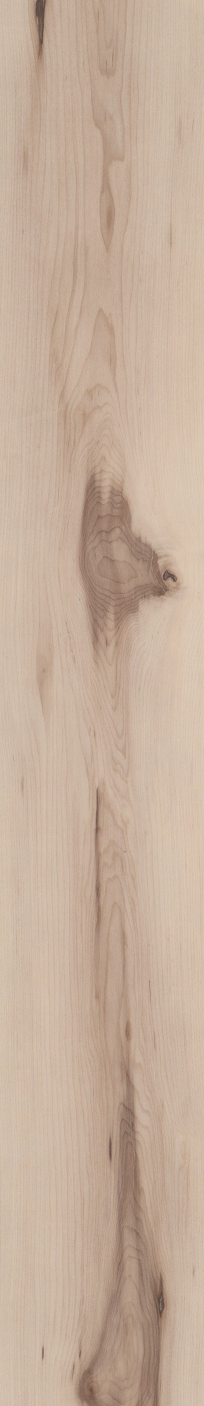 Roswell Hickory VV017-01019 LVP Flooring | COREtec Pro