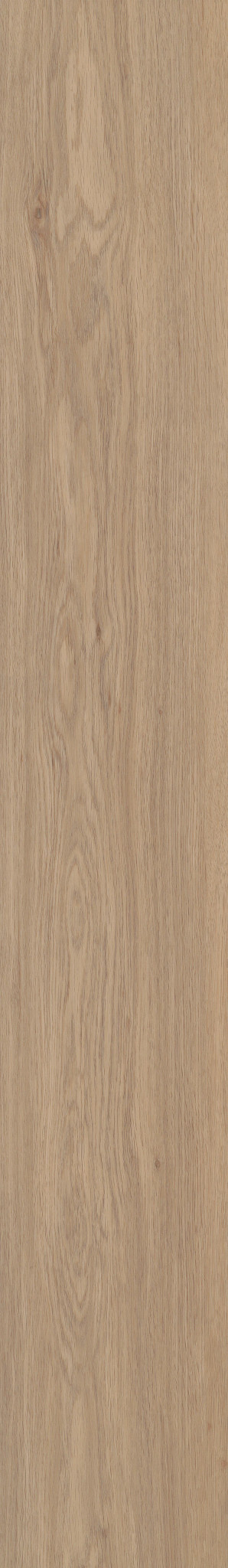 COREtec Pro - Springfield Oak - Customer Favorite