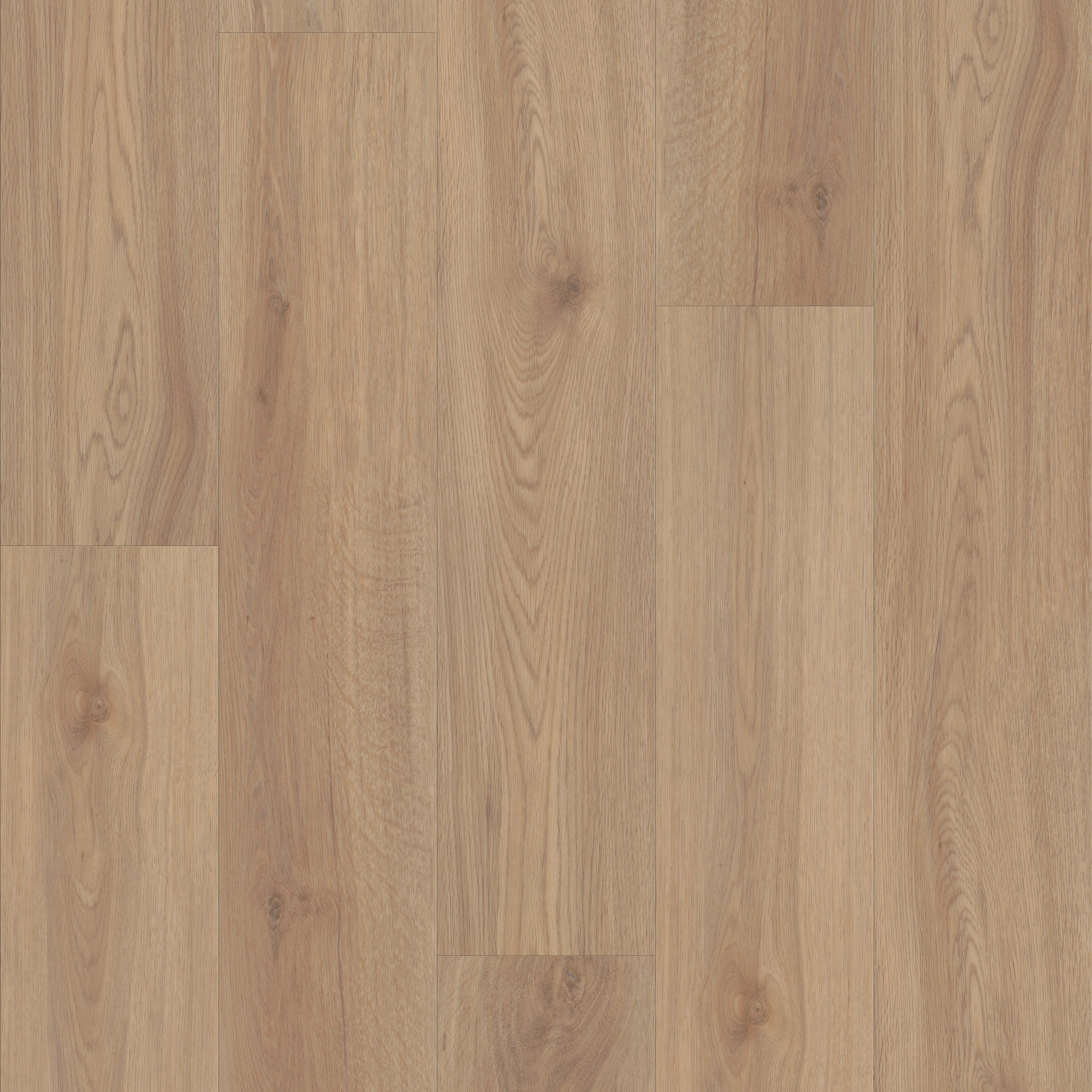 COREtec Pro - Springfield Oak - Customer Favorite