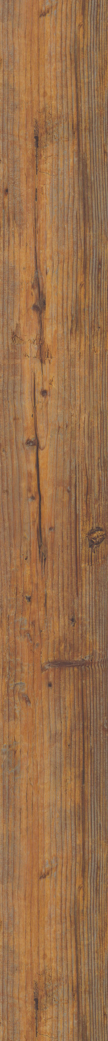 COREtec Originals - Carolina Pine