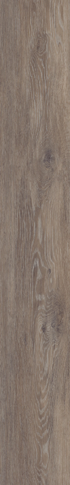 COREtec Originals - Alabaster oak