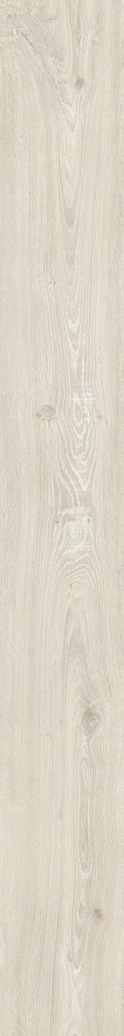 Boston Oak 03 50 LVR 1903 LVP Flooring | The Essentials