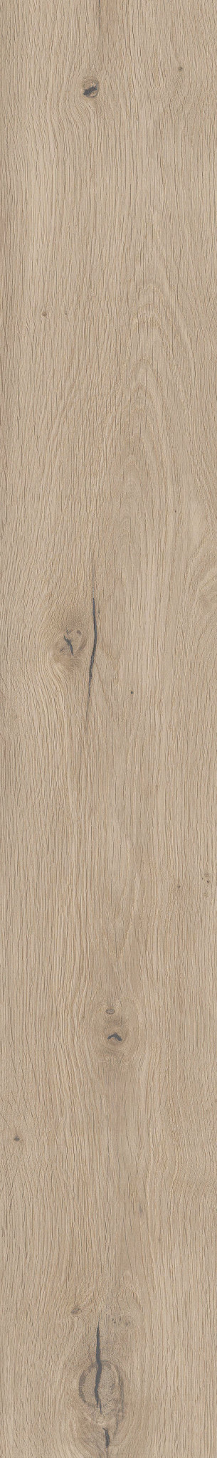 Forest 50 LVP 806 LVP Flooring | Naturals