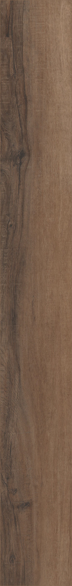 Cheshire Elm VV488-02094 LVP Flooring | COREtec Pro