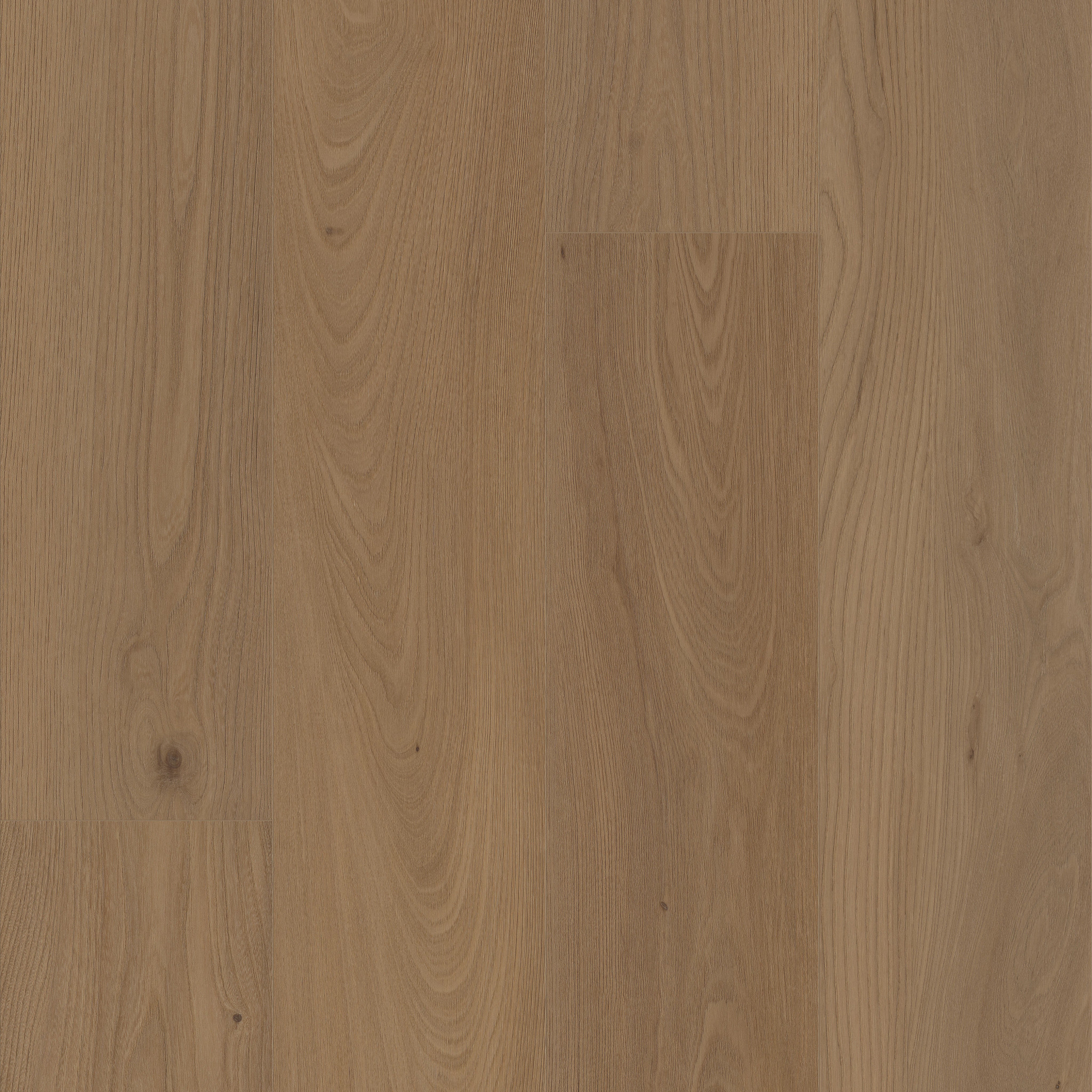 San Marino Elm VV491-04040 LVP Flooring | COREtec Pro