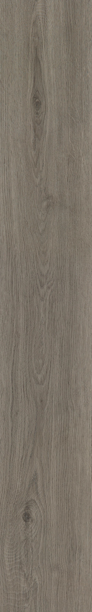 Sharpwell Oak VV492-08014 LVP Flooring | COREtec Pro