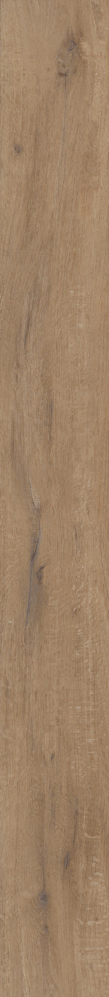 Grande Goldin Oak Luxury Vinyl Plank Flooring | Coretec