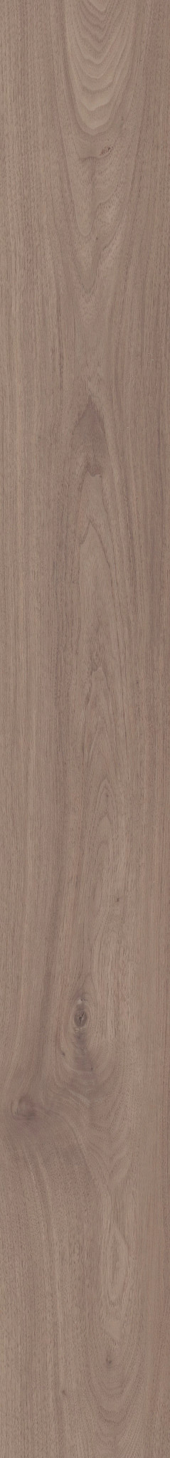 COREtec Originals - Aver Walnut - Designer's Choice