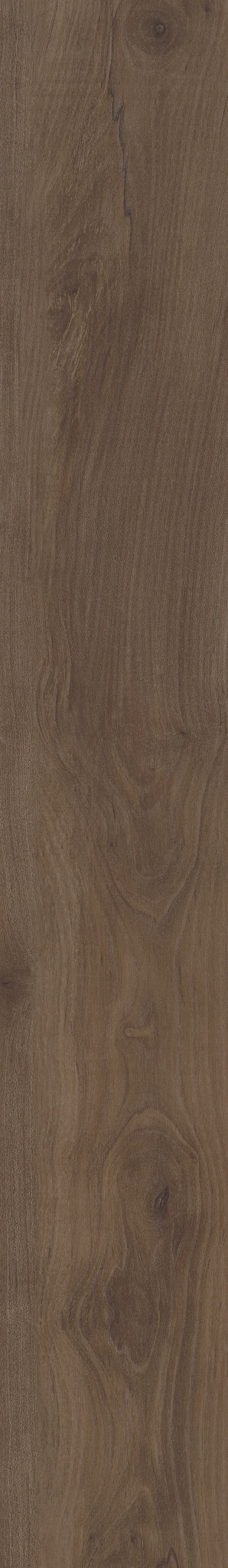 COREtec Pro - Stonehaven Maple - Best Seller