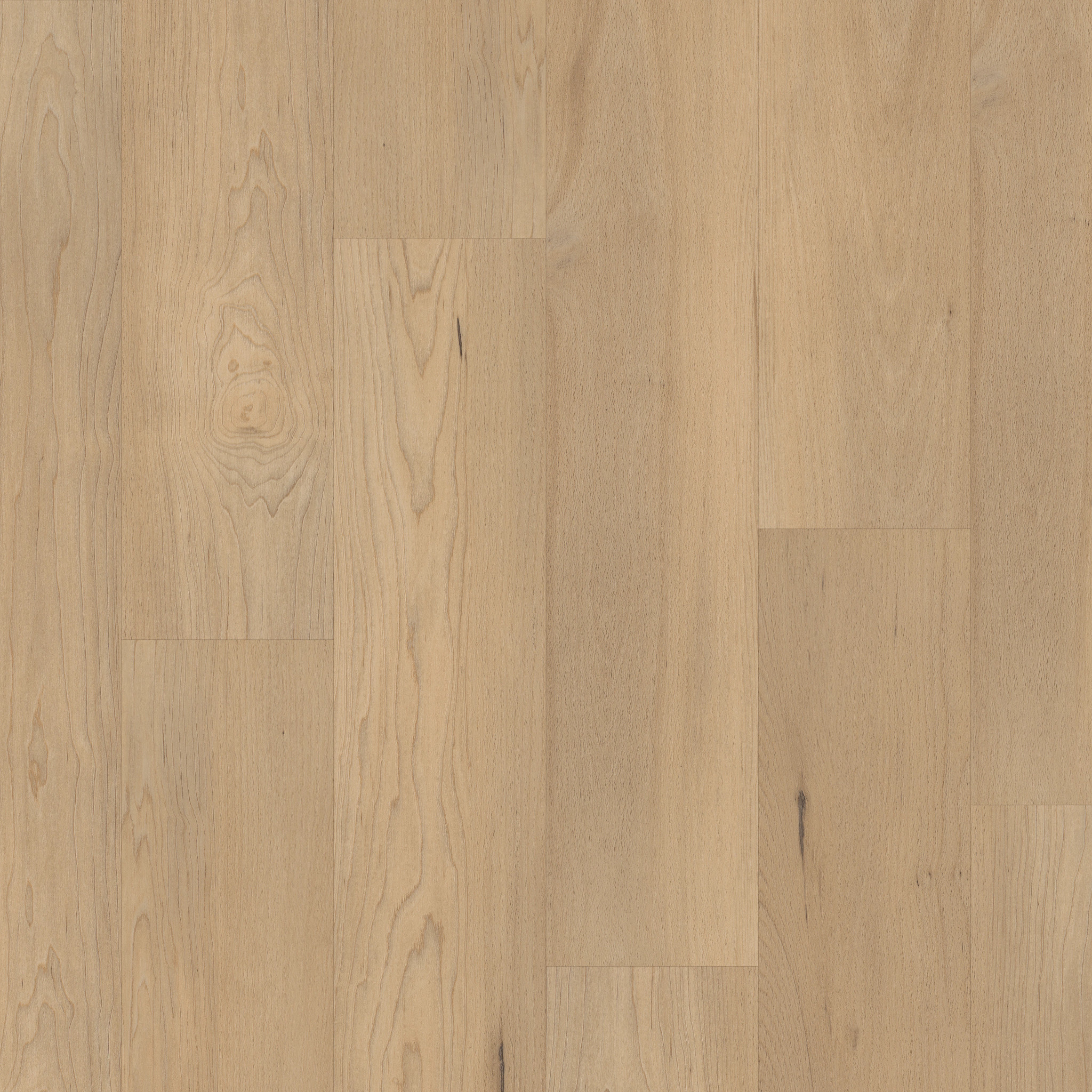 Douglas Maple VV800-05035 LVP Flooring | COREtec Pro