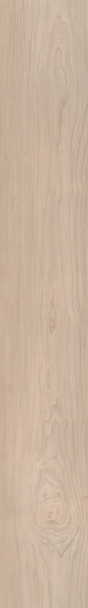 COREtec Pro - Norfolk Maple - Best Seller