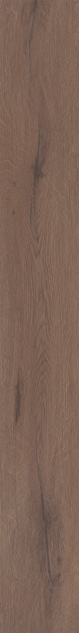 COREtec Originals - Cerith Oak - Customer Pick