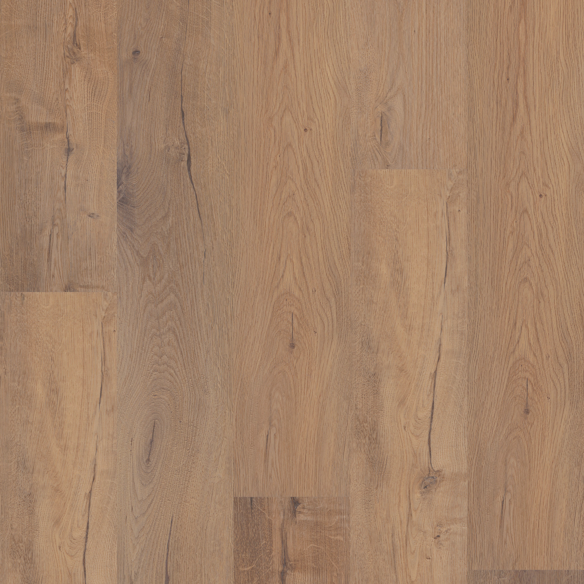 Sand Dollar Oak Luxury Vinyl Plank Flooring | COREtec