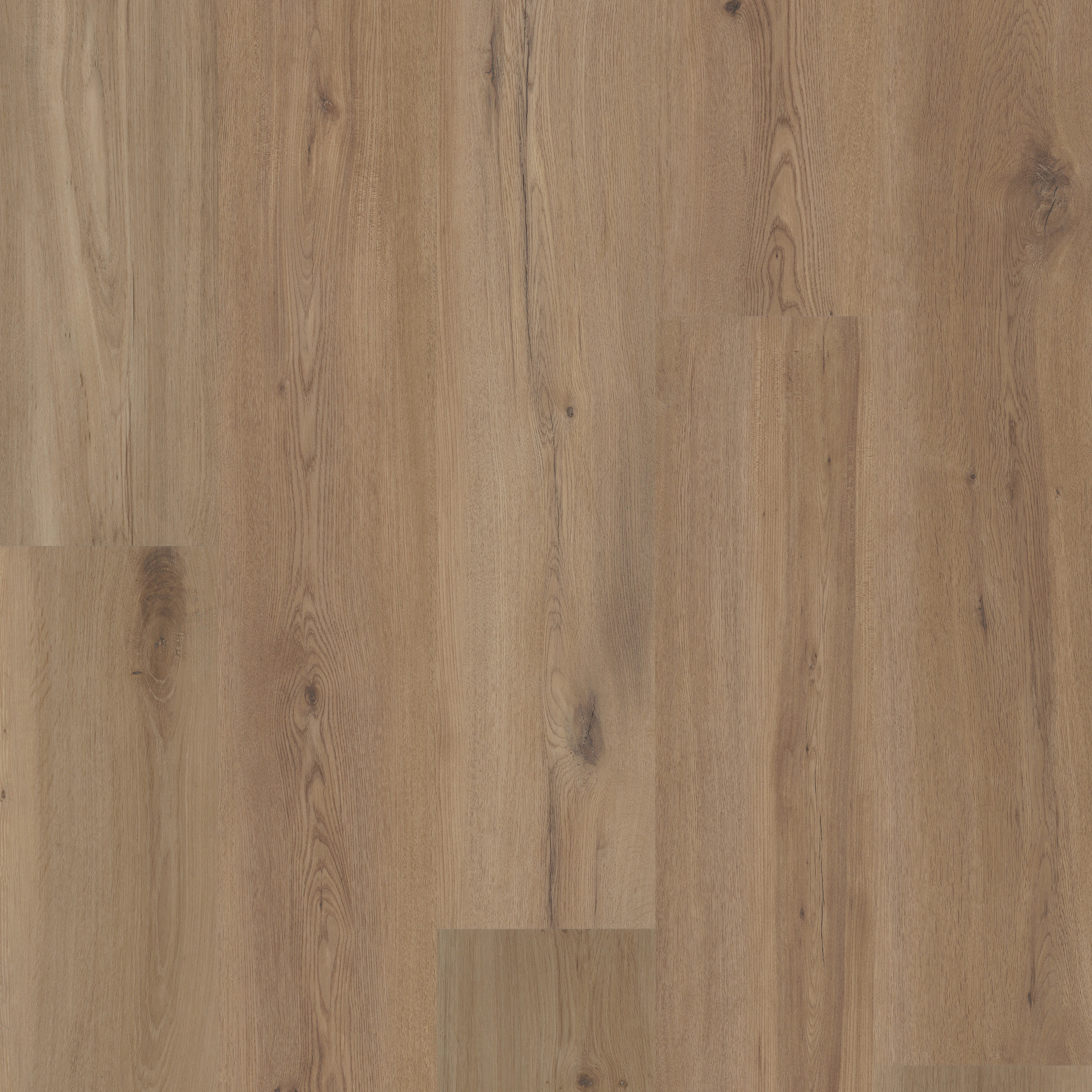 COREtec Originals - Parchment Oak - Designer's Choice