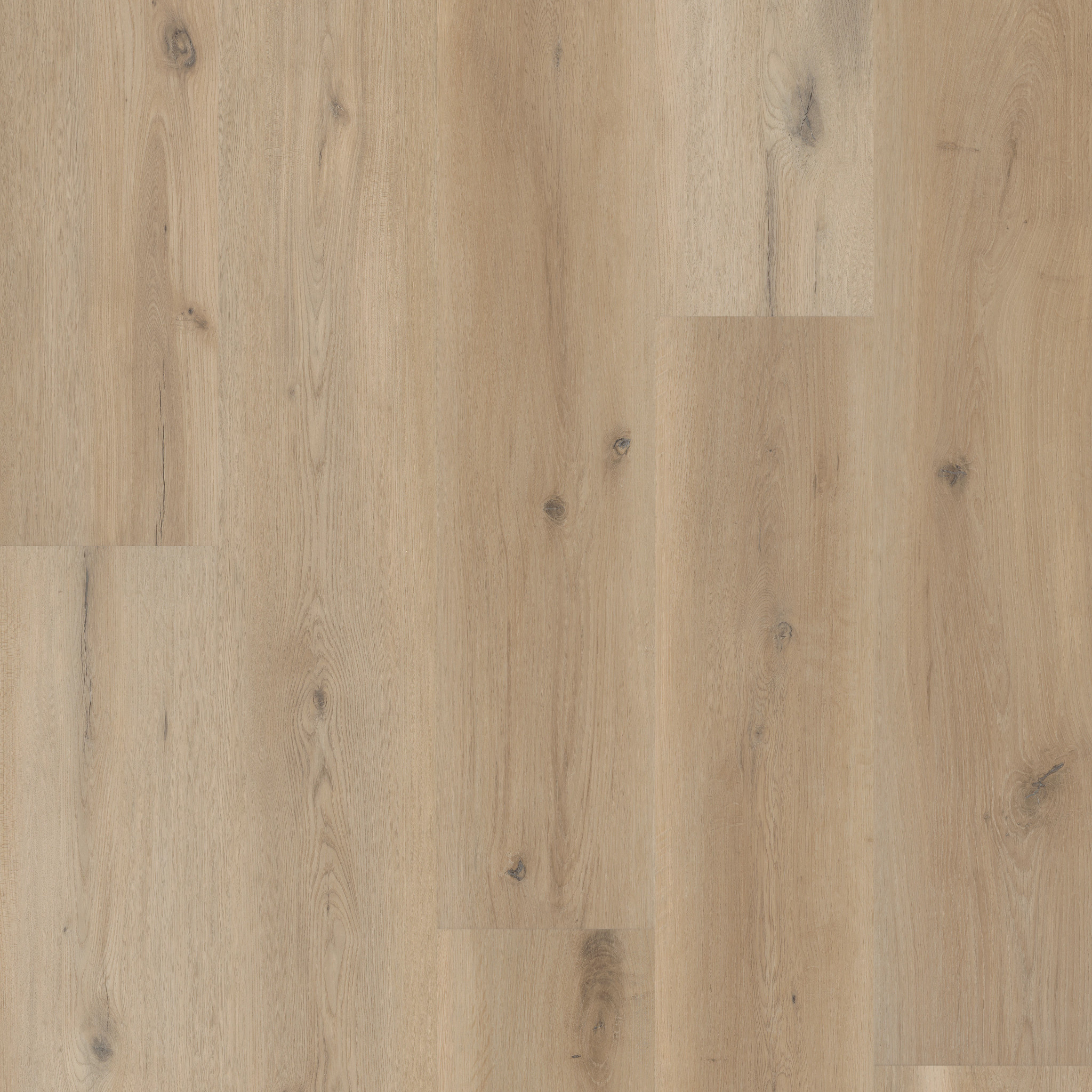 COREtec Originals - Sea Salt Oak - Designer's Choice
