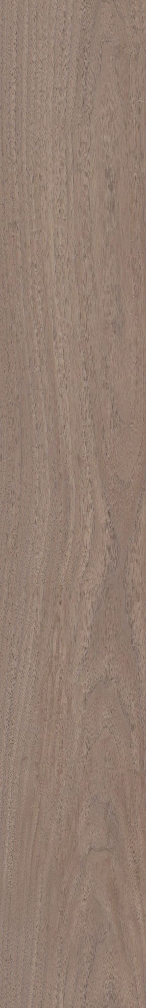 COREtec Originals - Feather Walnut - New Arrival